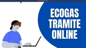 Ecogas: Factura, Pagar, Imprimir, Cambio Titular, Teléfono, Turnos ...